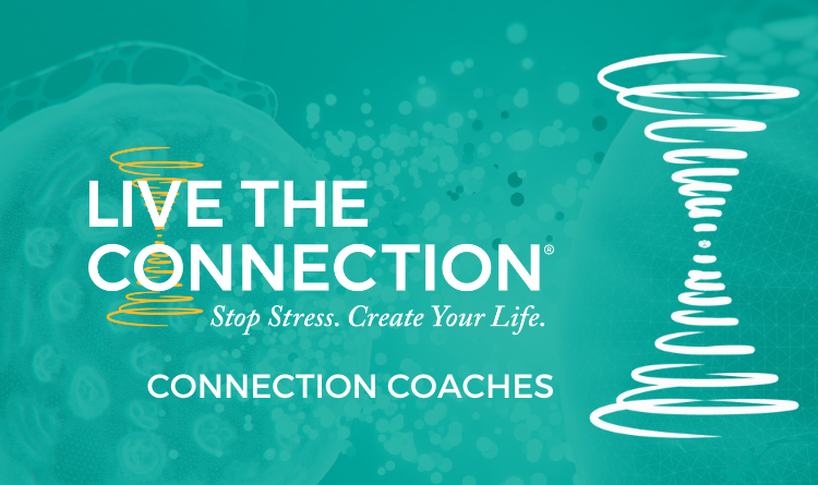 Connection Coaches - Live The Connection