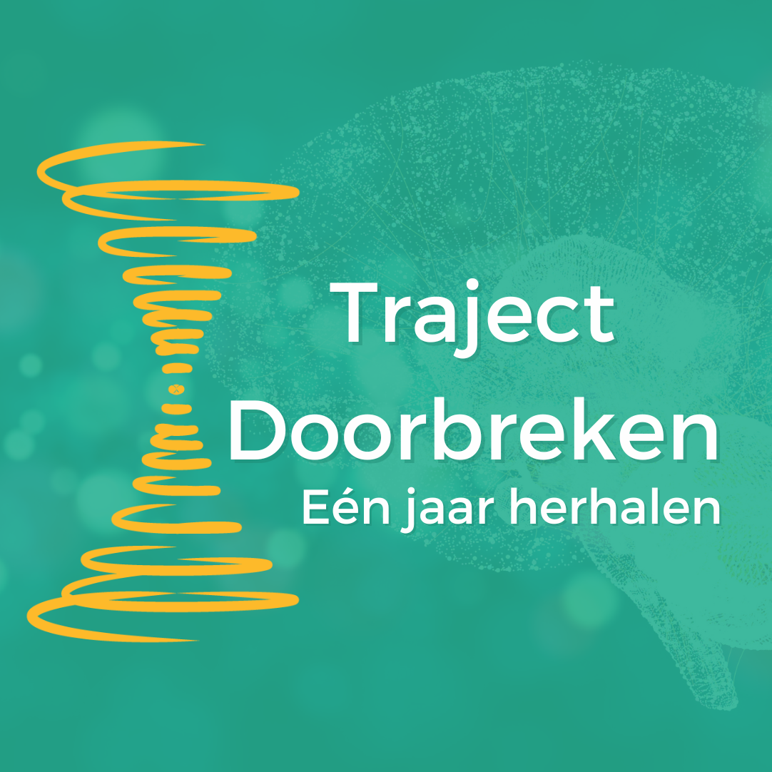 Traject Doorbreken - Eén jaar herhalen - Live The Connection