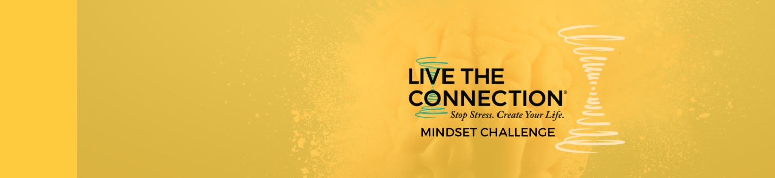 Archief Trainingen - Live The Connection